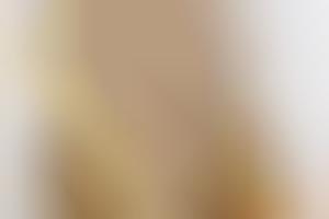 Cheesy Celebrity Blogs : Cheese People