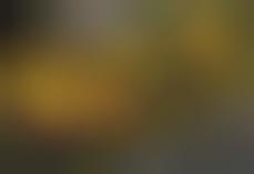 Luxury Auto Blocks : lego lamborghini