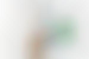 Forest Fauna Coat Racks : Reindeer Coat Hanger Chair