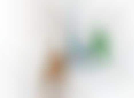 Forest Fauna Coat Racks : Reindeer Coat Hanger Chair