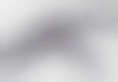 Handgun Conversion Kits : TRIARII from Hera Arms