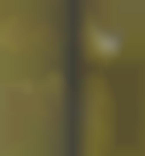 100 Wacky Wallpaper Finds