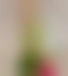 Repurposed Clothing Castoffs : Re-jiggered children's clothes