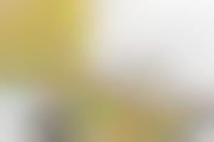 Tricky Tablet Boardgames : Yoomi Duo game