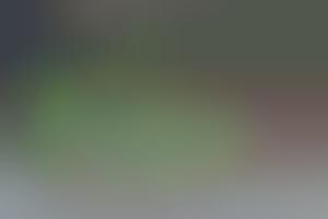 Sophisticated Transit Stops : absolut vodka bus shelters