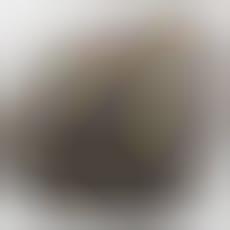 Rocky Covert Cameras : Xtremelife Rock Spy Camera