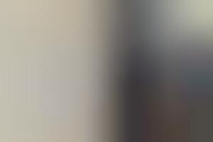 Private Part Protection : 4th Amendment Underwear