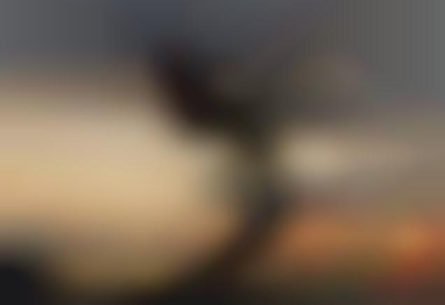 48 Extremely Awesome Athletic Feats