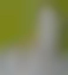 Mouthy Teapots : Reshape Studio Spotless Tea Set