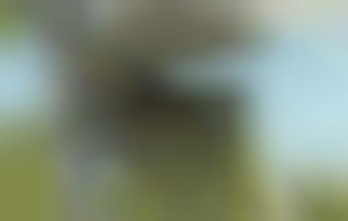 34 Suspended Architectural Structures