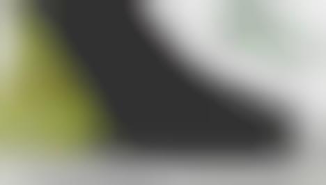 Dr. Seuss Sneakers : Converse Grinch Pack