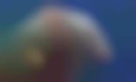 Reversing Age Processes : Harvard