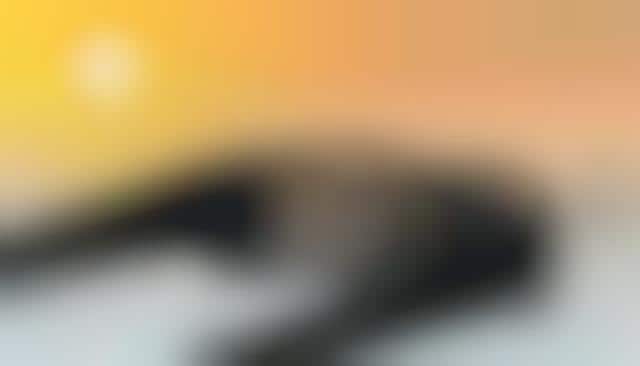 100 Stylish Summer Shades