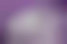 Purple Paint Photography : Studio Raar