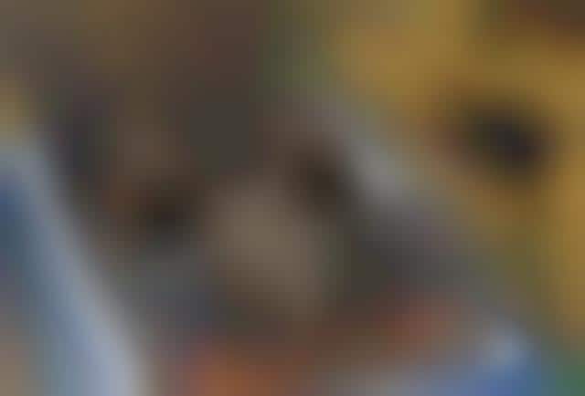 47 Energized Red Bull Innovations