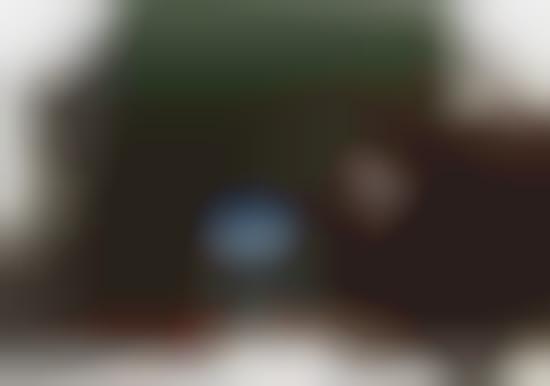 100 Ridiculously Expensive Items