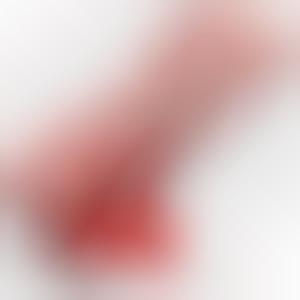 Daring Meat-Flavored Candies : Bacon Jellybeans