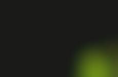 Insect-Shaped Lighting : Mademoiselle Filou