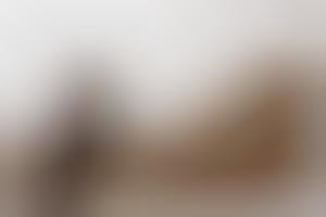 Fallen Log Seating : Freefold Furniture