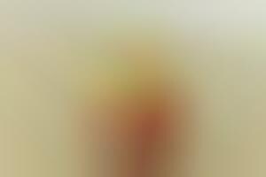 Fruity Eco Sculptures : haroshi apple