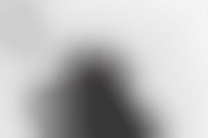 Reporters as Shooting Targets : Ryan Teixeira