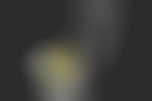 Incandescent Convenience Cards : credit card lightbulb