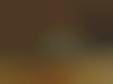 64-Bit Gaming USBs : N64 Cartridge USB Hub