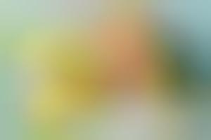 Back-to-Basics Branding : peoples supermarket packaging