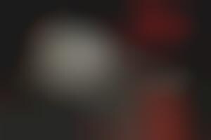 Luxe Holiday Ornaments (UPDATE) : World s Most Expensive Christmas Bauble