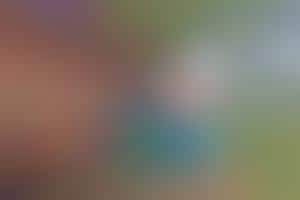 Train-Converted Hotels : Controversy Tram Inn