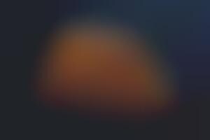 Vagrant Gingerbread Homes : stockholms stadsmission billboards