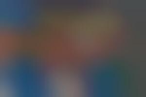 Group Snuggies : family blankeez