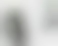 Tanning Cell Phones : ZTE Corporation Double Phone