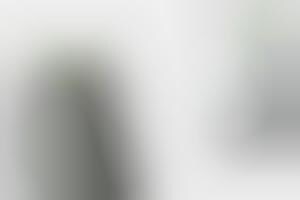 Tanning Cell Phones : ZTE Corporation Double Phone