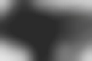 Heavy Duty Camera Cases : camera armor protection