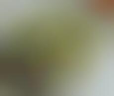 Cold Intergalactic Confections : boba fett ice cream sandwiches