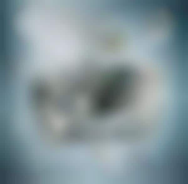 100 Self Destructing Captures