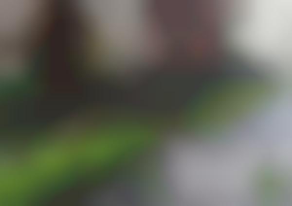 Revamped Rubbishvertising : Printed Garbage Bags