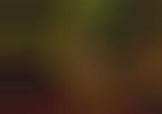 Canned Christmas Trees : Mountain Dew Tree