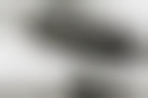 DIY Armadillo Slippers : Unu Slippers by Robert Hankey