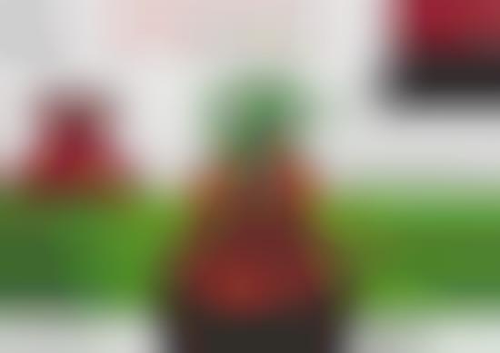 Potted Plant Speakers : Ceramic Sound