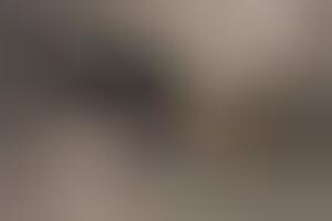 Intergalactic Kitchen Tools : Star Trek Pizza Cutter