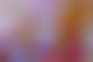 Psychedelic Art Installations : rose skinner pieces