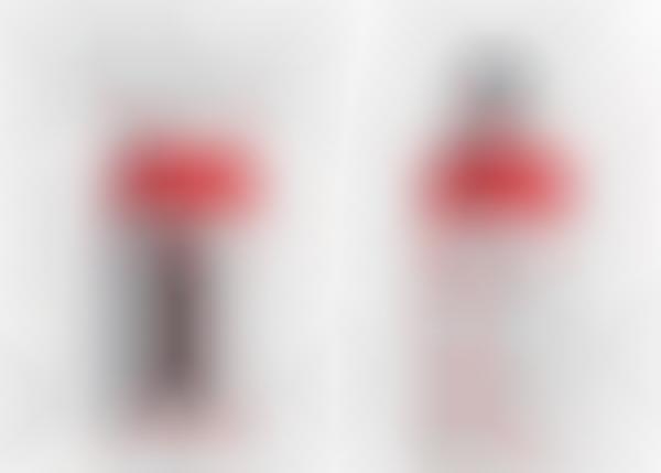 Fairy Tale Grappling Devices : rapunzel safety line