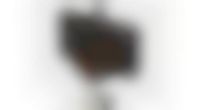 61 Photographic Phone Add-Ons
