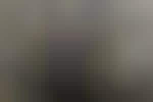 Inside-Out Anatomical Art : michael reedy