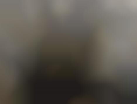 Inside-Out Anatomical Art : michael reedy