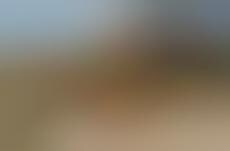 Nutty Eco Homes : fab lab house