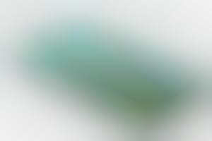 Flimsy Flip Phones : bio phone