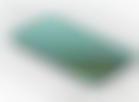 Flimsy Flip Phones : bio phone